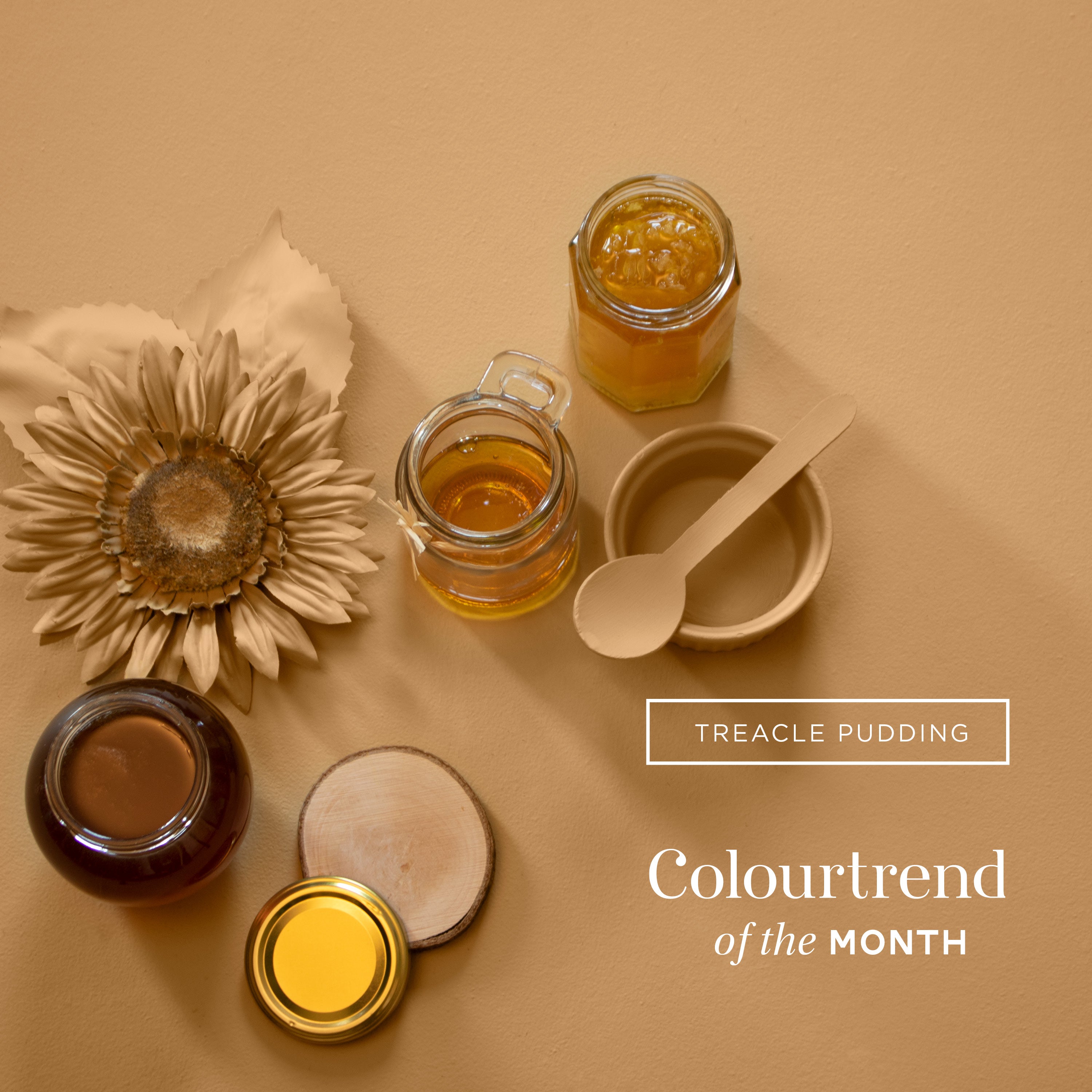 August Colourtrend of the Month- Treacle Pudding - Colourtrend Paints