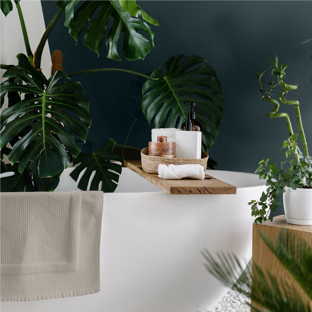 The Trend - Colourtrend Paints