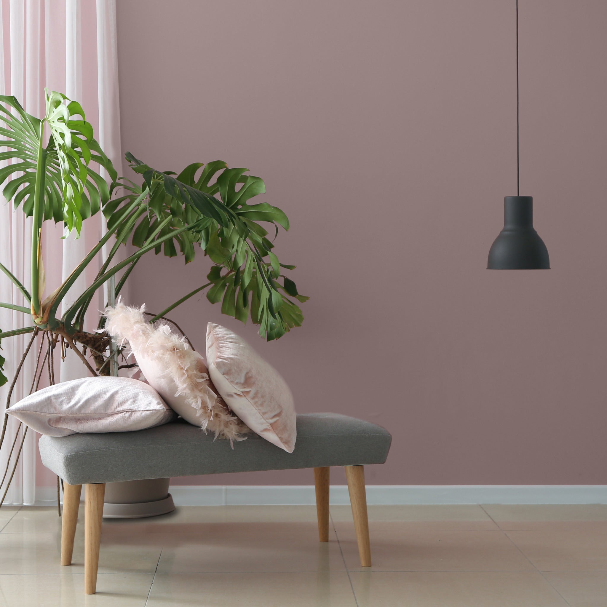 The Trend - Colourtrend Paints