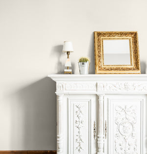 Shell Cove Sample Pot by Colourtrend - Inspiring colour in Ireland ...