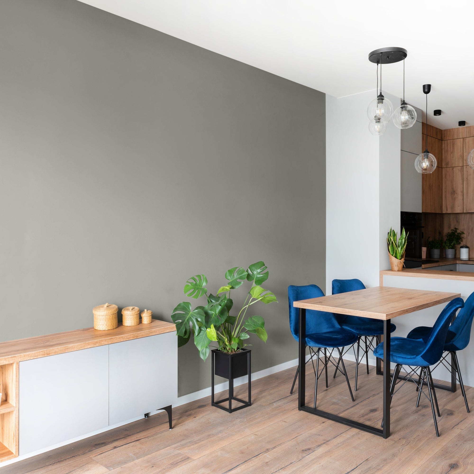 Silver Birch by Colourtrend - Order Beautiful Paints from our ...